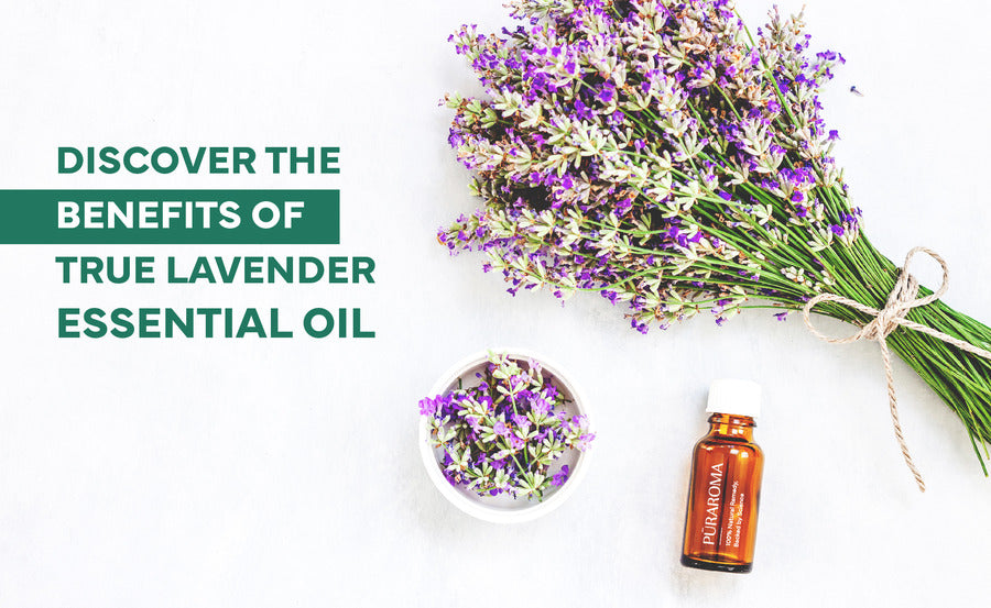 The Ultimate Guide To True Lavender Essential Oil Nature S Calming El