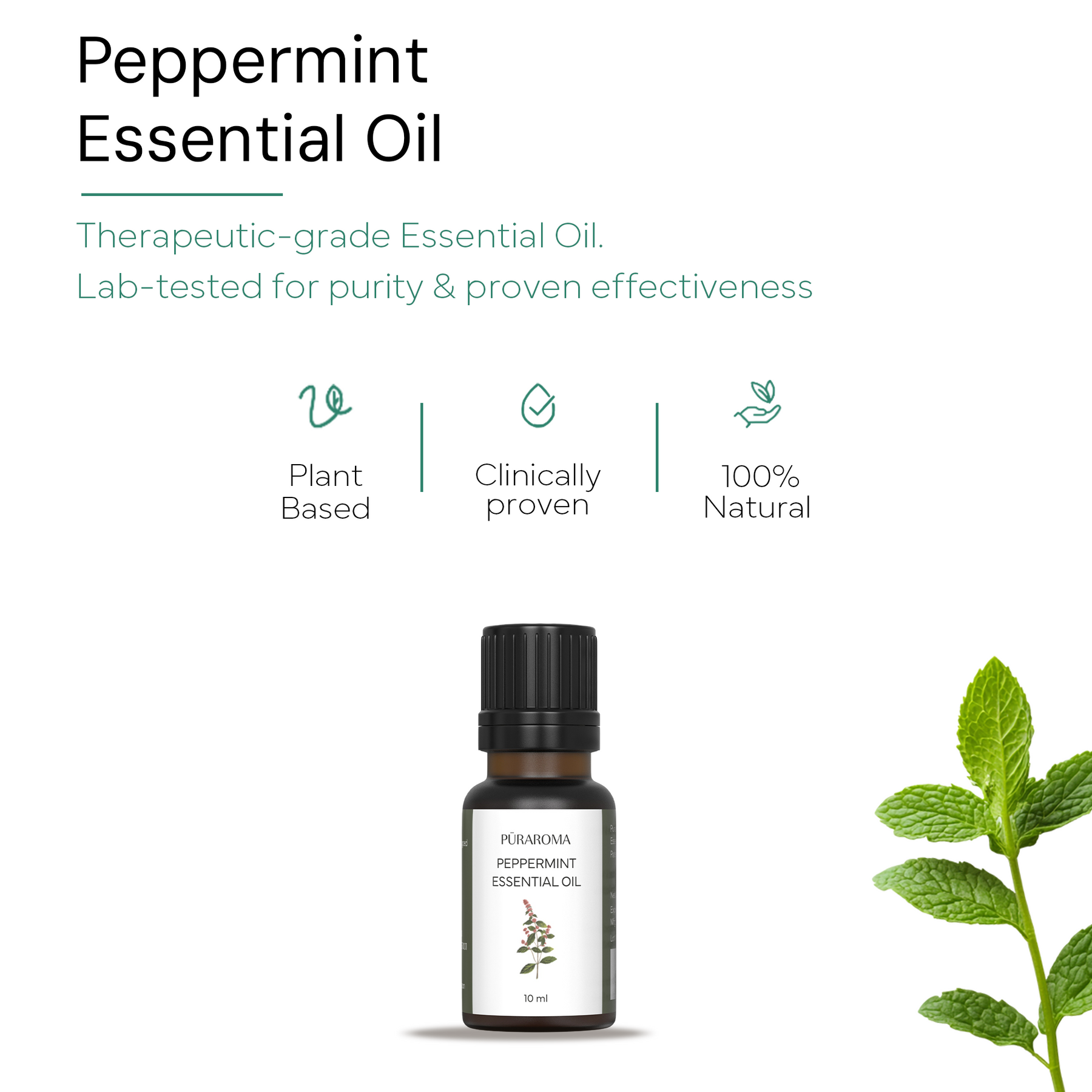 Peppermint Essential Oil | Invigorating & Digestive Properties – Puraroma
