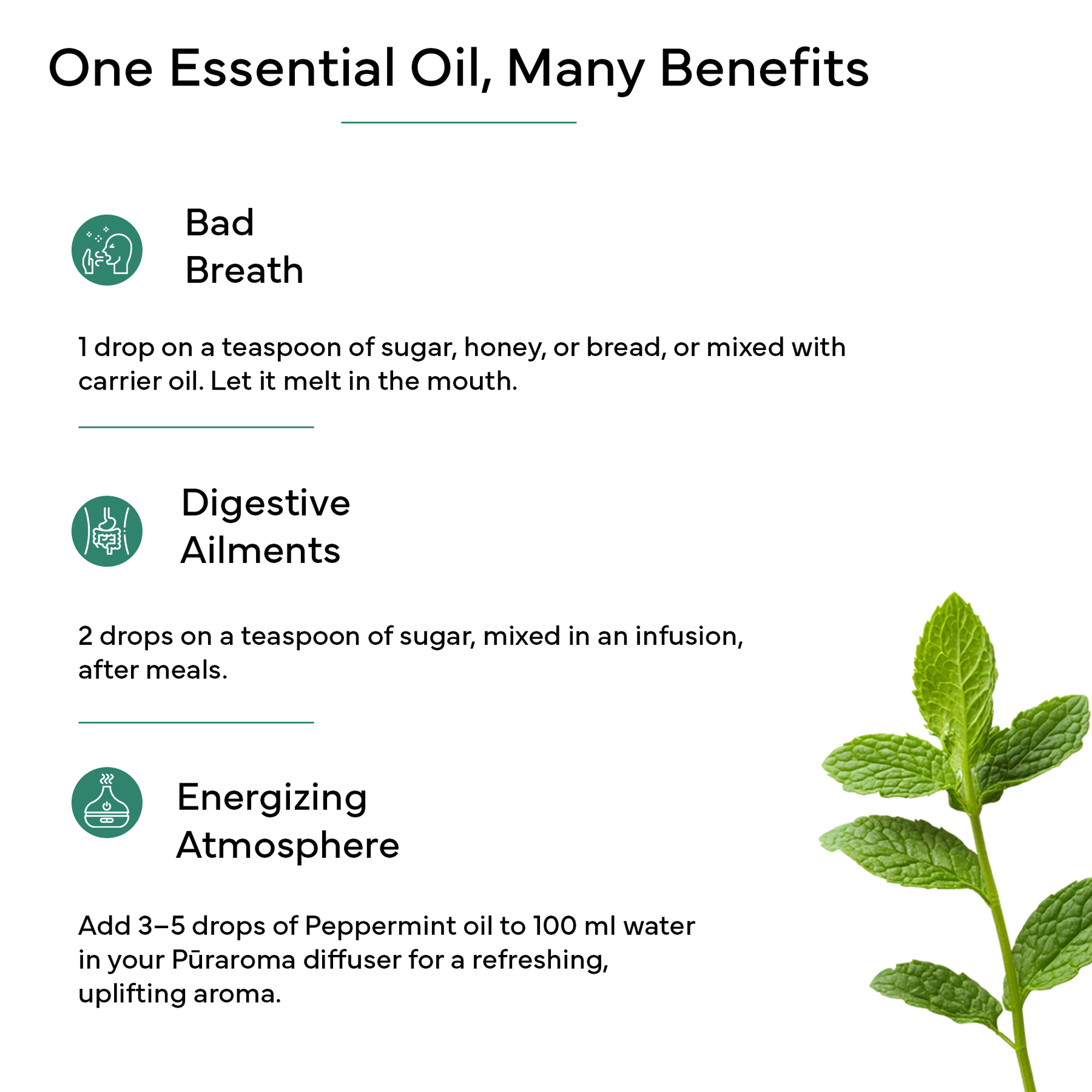 Peppermint Essential Oil | Invigorating & Digestive Properties – Puraroma